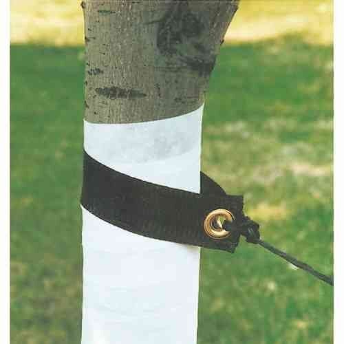De Witt Tree Sling
