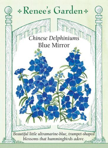 Renee's Garden Chinese Delphiniums Heirloom Blue Mirror Flower Seeds