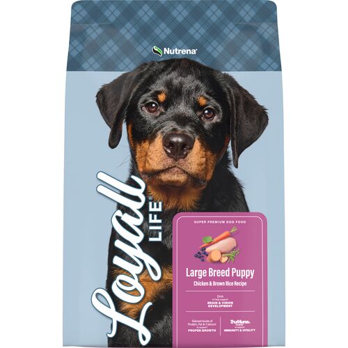 Nutrena Loyall Life Large Breed Puppy Chicken & Brown Rice Recipe Dog ...
