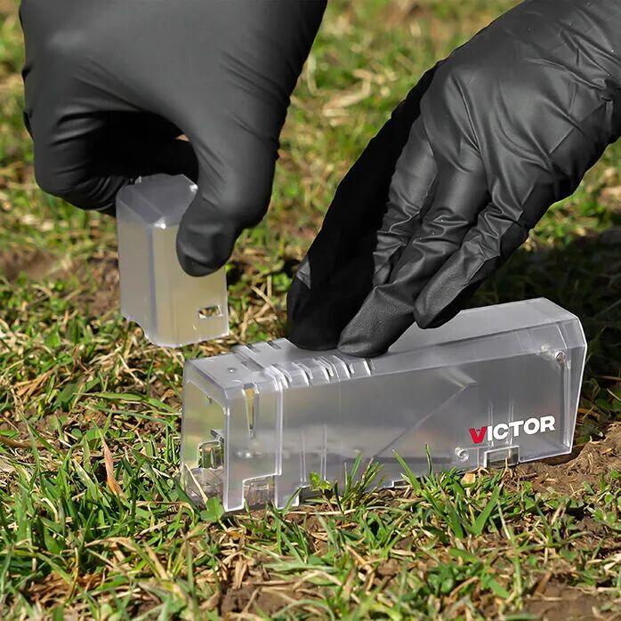 Mouse Trap Homemade Ice Fishing Gear EKCO Indoor/Outdoor Easy Set No ...