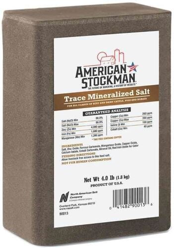 American Stockman Trace Mineral Salt Brick - 4 Lb