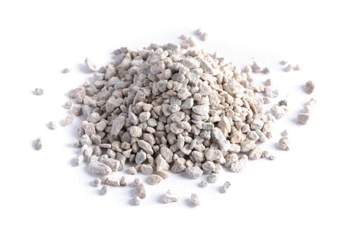 ilc Shell & Bone Builder