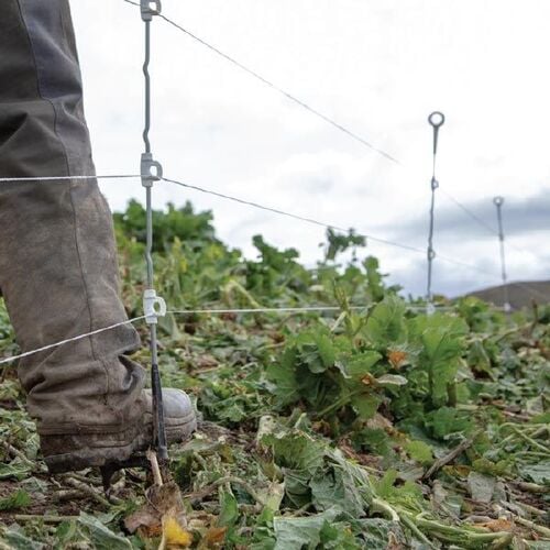 Gallagher Heavy Duty Multi Wire Ring Top Post