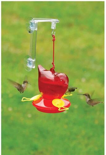 Songbird Essentials Window Red Bird Hummingbird Feeder