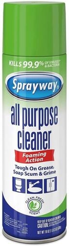 Sprayway 19 Oz All Purpose Cleaner Aerosol Spray