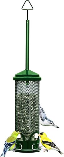 Songbird Essentials Squirrel Buster Mini