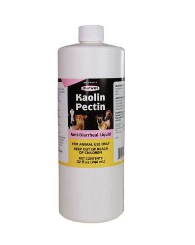Durvet Kaolin Pectin Solution - 1 Quart