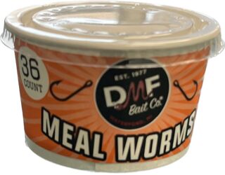 DMF Bait Company 36 Ct Meal Worm