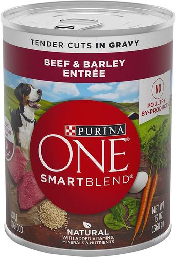 Purina ONE SmartBlend Beef & Barley Entree Canned Dog Food 13 oz