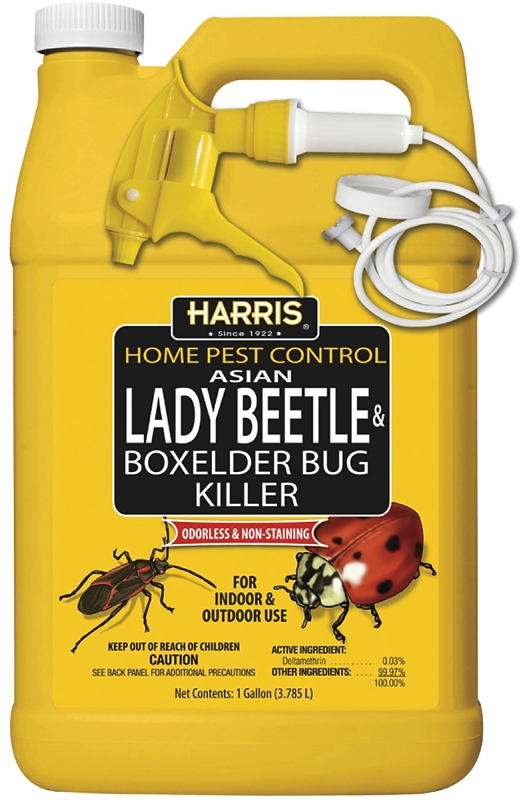 Beetle And Box Elder Bug Killer