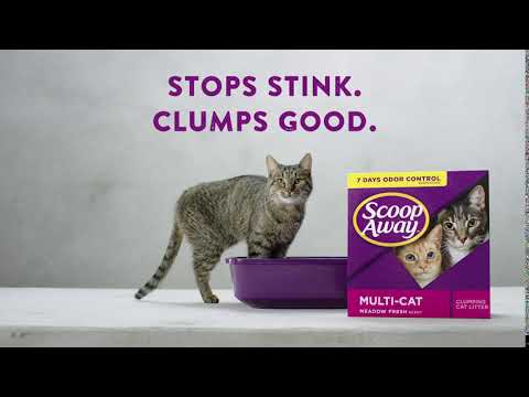 is scoop away good cat litter