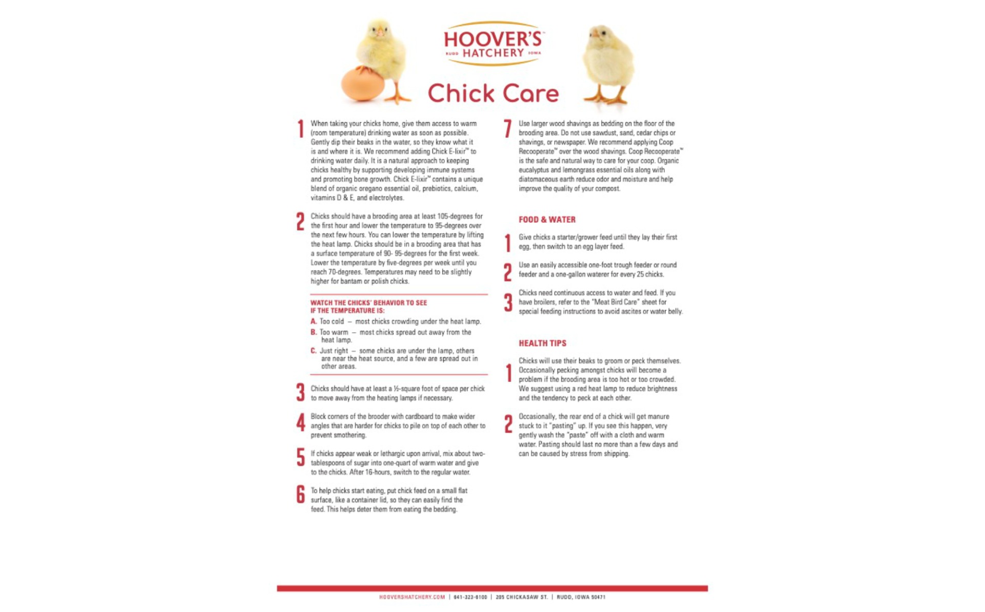Chick Care Guide